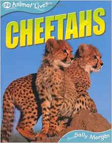 Cheetahs (Animal Lives): Amazon.co.uk: Sally Morgan: 9781848350243: Books