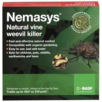 BugClear Ultra Vine Weevil Killer Insecticide: Amazon.co.uk: Car ...