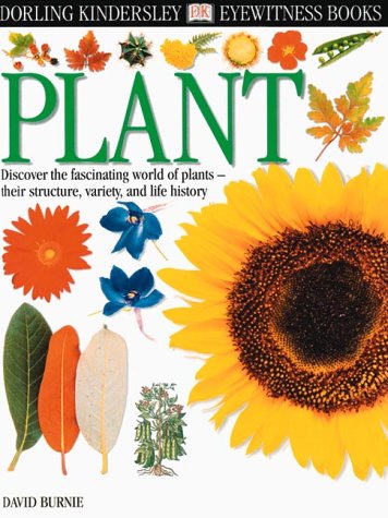 Buy Plant (DK Eyewitness Books) Book Online at Low Prices in India ...