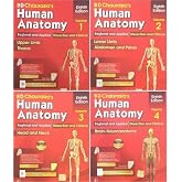 Buy B D Chaurasia's Human Anatomy 4 Volume Set ( Vol.1 to Vol 4) 8th ...