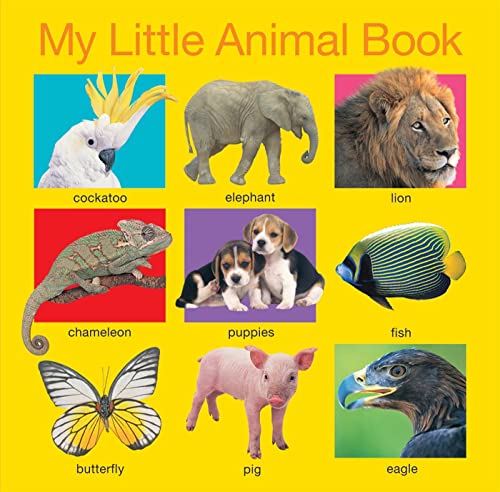 Buy My Little Animal Book (My Little Books) Book Online at Low Prices ...