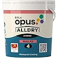 Birla Opus Alldry Wall Fix 4 - Crack-Proof Waterproof Primer with 4 ...