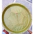 Brass Mart Natural Leaf Bowls Patravali Pattal Vistaraku Vistar Khali ...