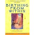 Birthing from within: An Extra-Ordinary Guide to Childbirth Preparation ...