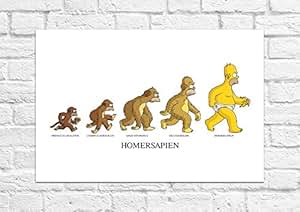 Homersapien Evolution - The Simpsons (Homer) - Poster/Art - Unframed ...