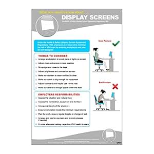 Display Screens Poster. The Health & Safety (Display Screen Equipment ...