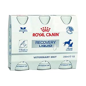 Royal Canin Veterinary Diet Recovery Liquid 3 x 200 ml: Amazon.co.uk ...