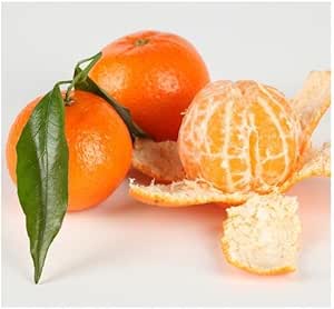 Spanish Clementine Mandarins Oronul 10Kg : Amazon.co.uk: Grocery