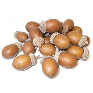 Pack of 24 Artificial Acorns - Autumn Winter Decorations: Amazon.co.uk ...