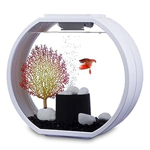 AA Aquarium Deco O Mini Aa10l-ogd-wht Aquarium: Amazon.fr: Animalerie
