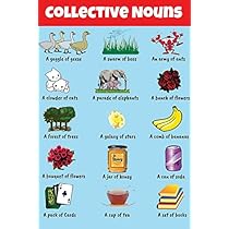 Collective Nouns Poster