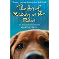 Art Of Racing In The Rain: a novel: Amazon.co.uk: Stein, Garth ...