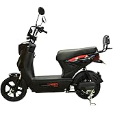 Green Sunny Low Speed Electric Scooter Non RTO 40 KM Range Black with ...