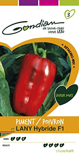 Poivron : semis, culture, récolte