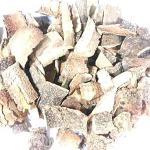 Xetomos Palash Palas Bark Flame of the forest Butea Monosperma Bark ...