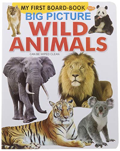 Buy My First Board Book Of Big Picture Wild Animals Book Online at Low ...
