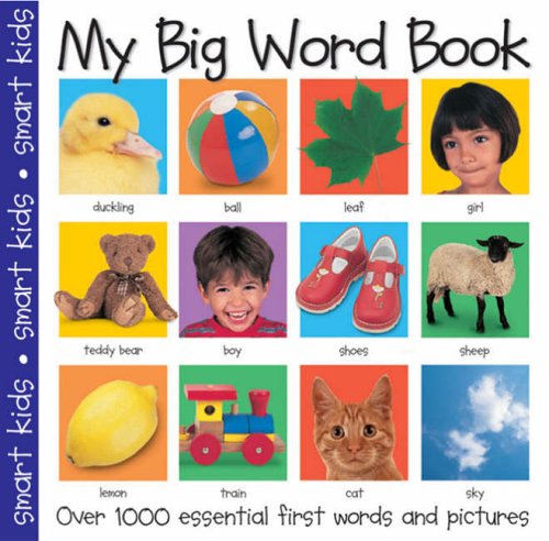 My Big Word Book (Big Books) : Priddy, Bicknell: Amazon.co.uk: Books