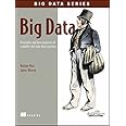 Big Data: Principles and Best Practices of Scalable Real-Time Data ...