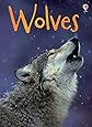 Wolves: Amazon.co.uk: Gravett, Emily: 9781509836666: Books