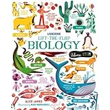 Lift-the-Flap Computers and Coding: 1: Amazon.co.uk: Rosie Dickins ...