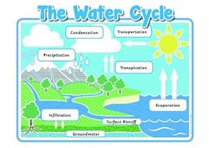 The Water Cycle Poster Pack (A4 Laminated): Amazon.co.uk: Office Products