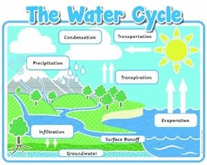 The Water Cycle Poster Pack (A4 Laminated): Amazon.co.uk: Office Products