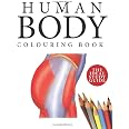 Human Body Colouring Book: Human Anatomy in 215 Illustrations ...