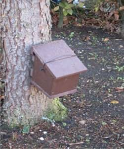 Dormouse Nest Box: Amazon.co.uk: Pet Supplies