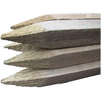 Apollo Fencing Stakes Angle Iron: Amazon.co.uk: Garden & Outdoors