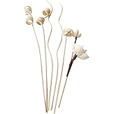 CHZIMADE 10 PCS Reed Diffuser Sticks Set, Rattan Reed Fragrance ...