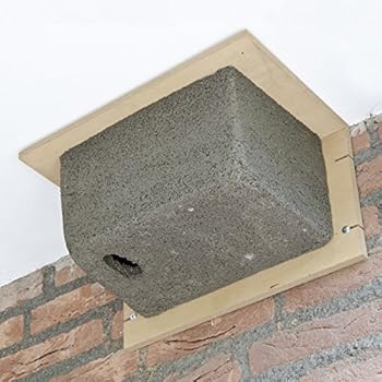 Swift Nesting Brick Box / Terracotta Breeding Bird House for Brick or ...