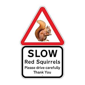 RED SQUIRREL SIGN, Squirrel Road Sign, Animal Safety Sign,Wildlife ...