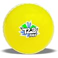 jaspo Synthetic Rubber T-20 Plus Practice Cricket Ball/Wind Balls (125 ...
