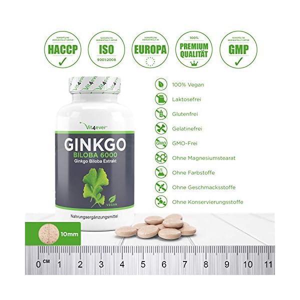 Ginkgo Biloba 6000 mg - 365 Tabletten - Premium: Mit Flavonglykoside ...
