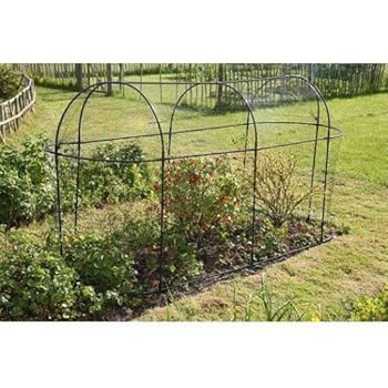 Pop-Up Raspberry Cage: Amazon.co.uk: Garden & Outdoors