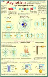 Buy Magnetism Chart Book Online at Low Prices in India | Magnetism ...