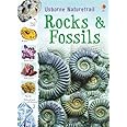 Rocks and Fossils: 1 (Naturetrail) : Reid, Struan, Reid, Struan: Amazon ...