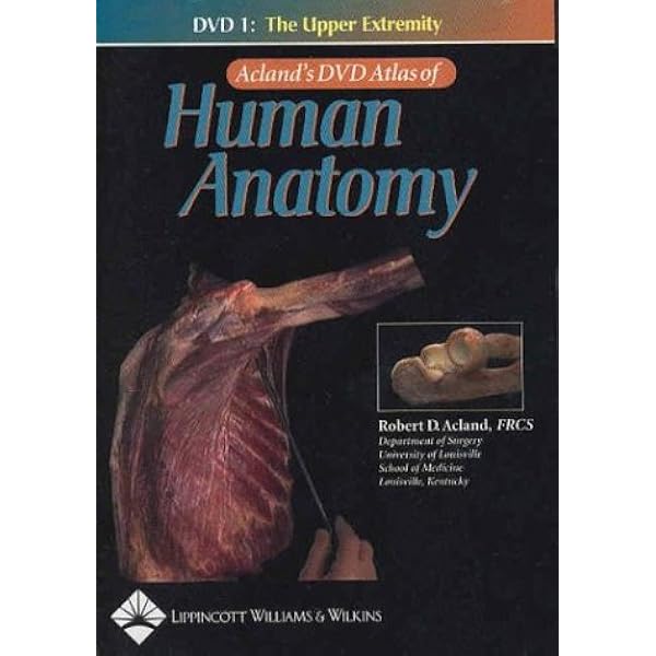 Atlas De Anatomía Humana En Dvd De Acland