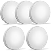 CORVI LED Surface 6 Ceiling Light | 23 Watts illumination using 15 ...
