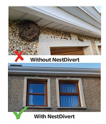 NestDivert Angled house martin nest deterrent - prevent bird nest under ...