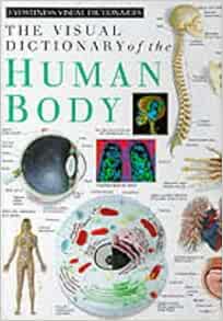Eyewitness Visual Dictionary: 02 Human Body (DK Eyewitness Visual ...