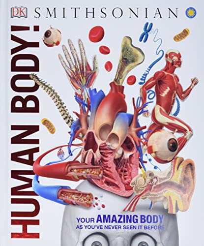 Human Body! (Knowledge Encyclopedias): Amazon.co.uk: DK, Smithsonian ...