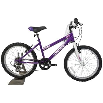 Raleigh Dream Girls Bike - Purple, 20 inch: Amazon.co.uk: Sports & Outdoors