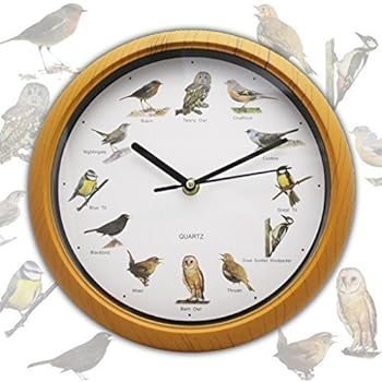 Novelty Bird Sounds Wall Clock - 12 Singing Birds: Amazon.co.uk ...
