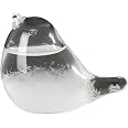 Fuoliystep Weather Station Glass Storm Glass Weather Forecaster Bird ...