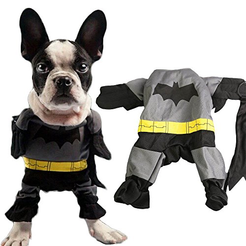 Animally® Hunde Kostüm - Batman - Superheld Outfit - Halloween Karneval ...