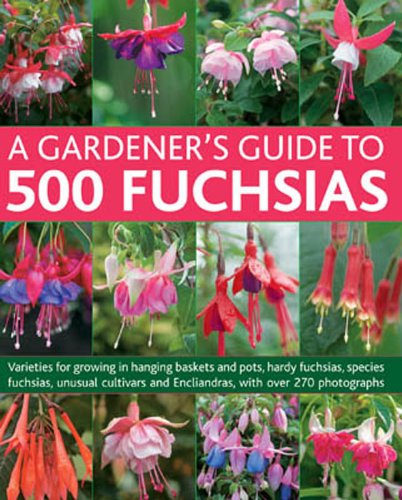A Gardener's Guide to 500 Fuchsias: Varieties for Growing in Hanging ...