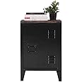 Indian Decor. 60015 Low Standing Locker Organizer 1 Door Side End Table ...