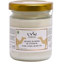 Journée De Bosse Du Chameau Geico Gecko Géant De Nouvelle Calédonie