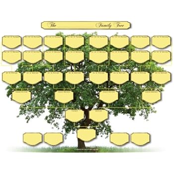 Pack of 6 Family Tree Charts in a Deluxe Tube: Amazon.co.uk: Office ...